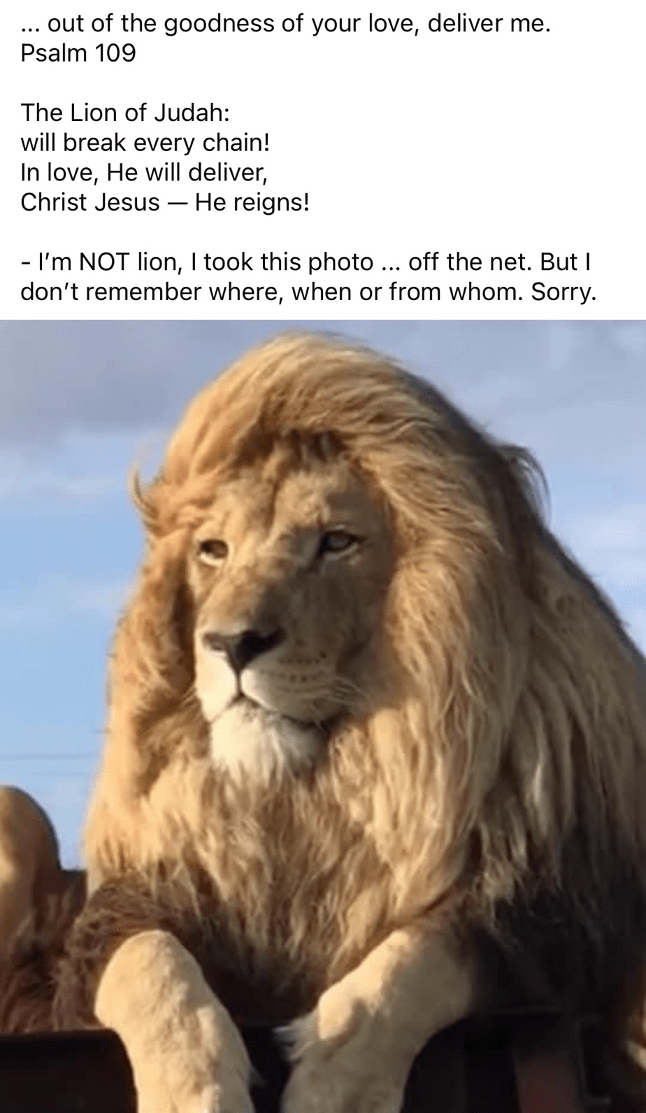 The Lion of Judah – 5 Minutes of Hope