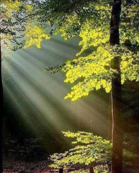 Be Exalted, O God – 5 Minutes of Hope